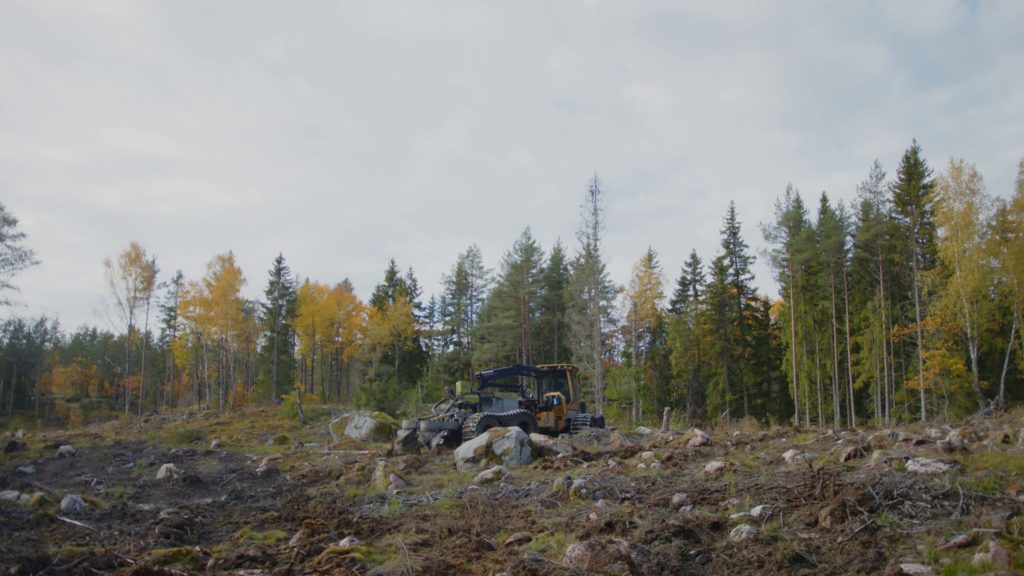 About us - Magnus Thor AB