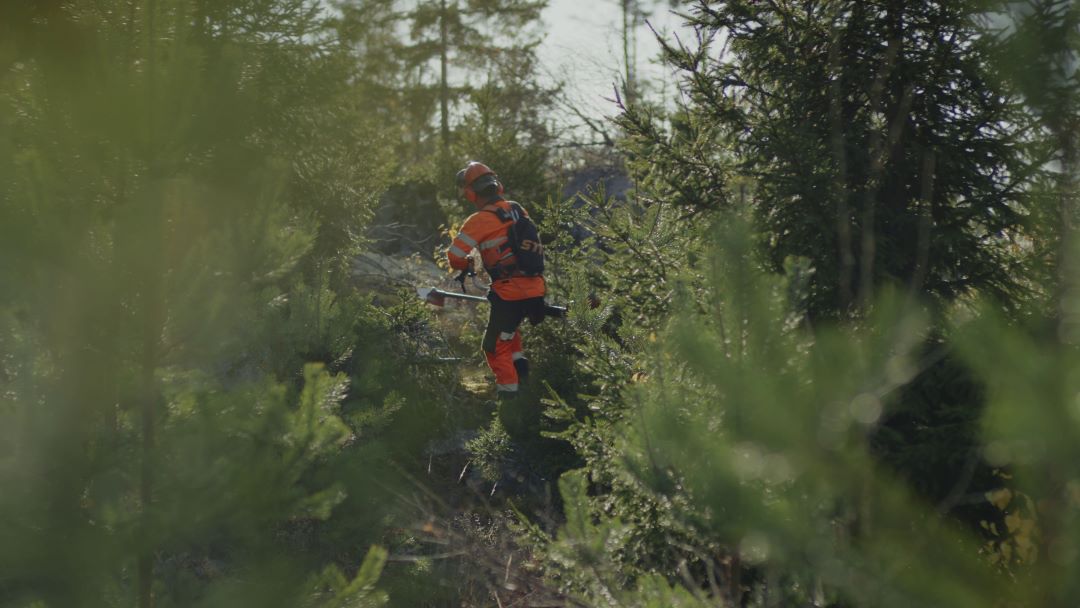 Startsida - Magnus Thor AB